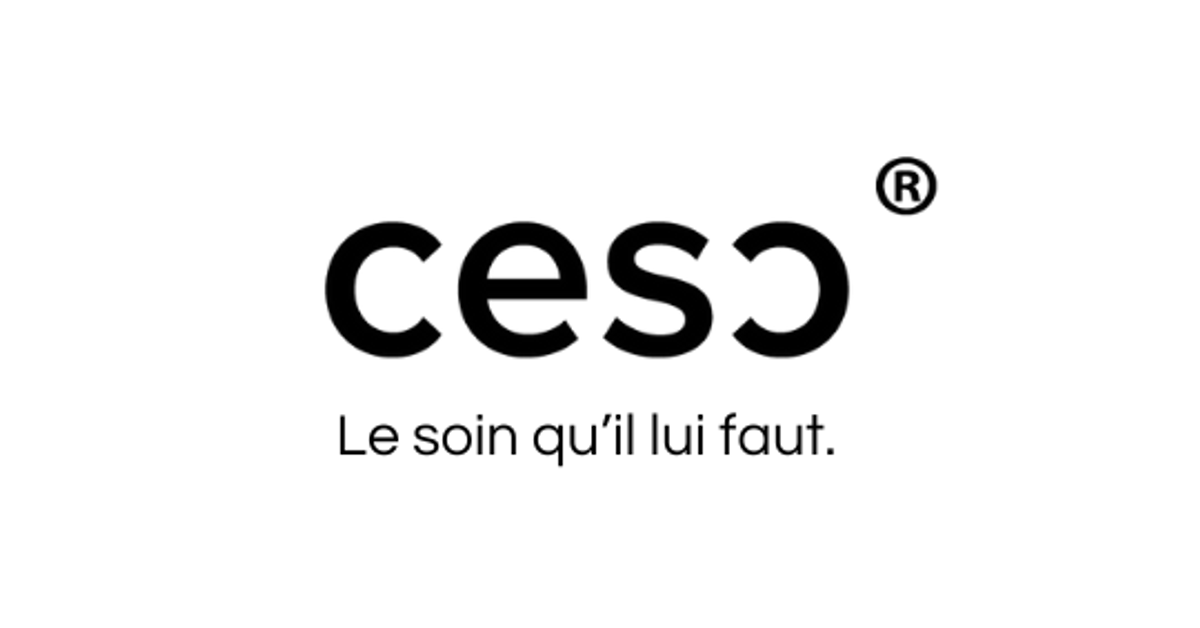 Accueil – Ceso